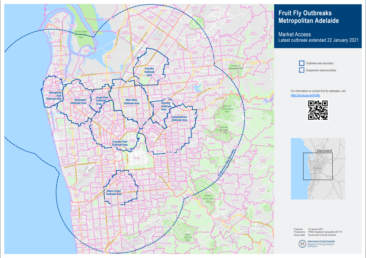 Fruit Fly Outbreak South Australia - Who it is effecting and what you ...